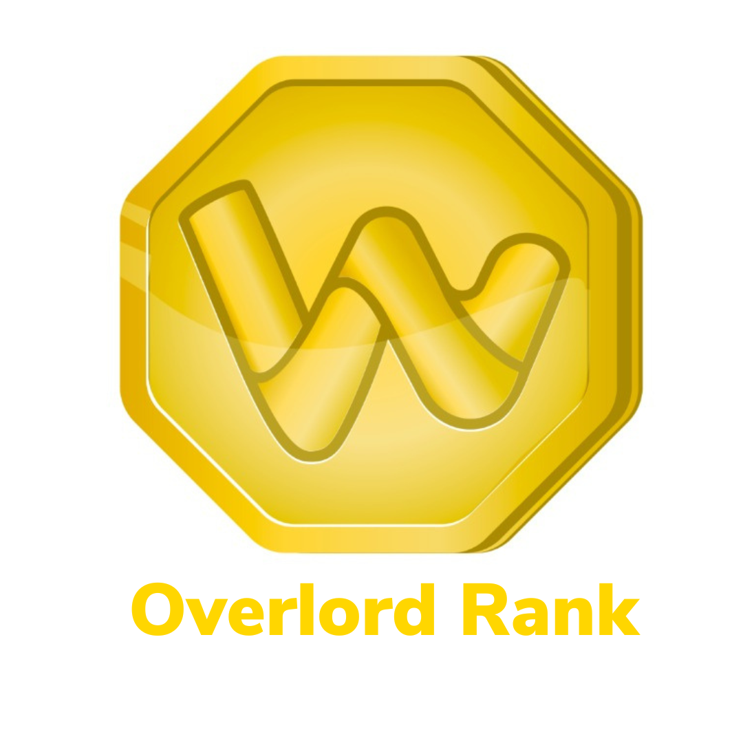 Overlord - Wellogi Academy